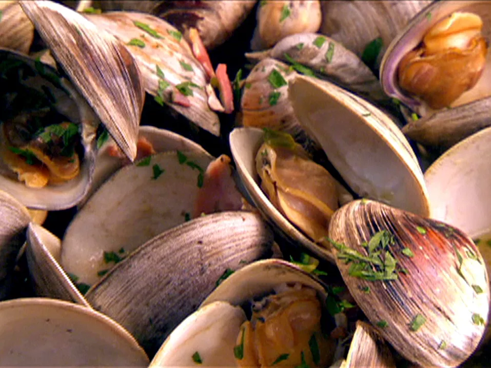 Clams with pancetta and spring onions Recipe | Food Network UK