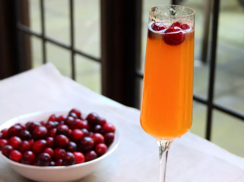 Cranberry and Clementine Fizz Recipe | Food Network UK