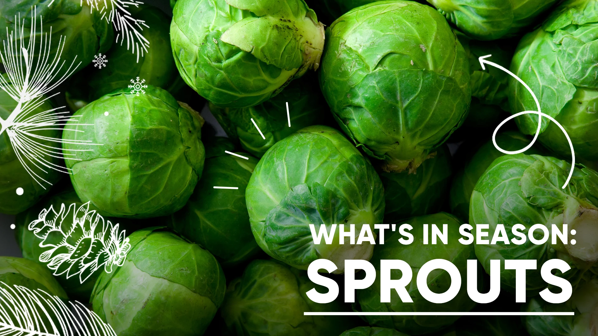 Winter Brussels Sprouts Recipes | Food Network UK